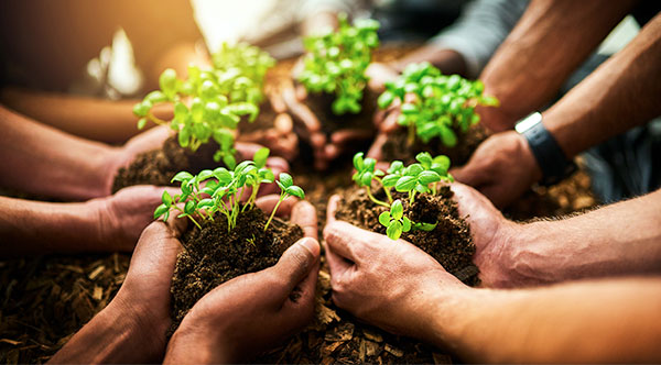 7 motivos para escolher um produto ecológico - Solven Solventes e Químicos